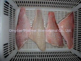 Frozen Pacific ocean perch  fillets