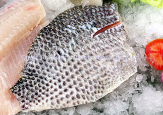 Frozen tilapia fillets skin-on