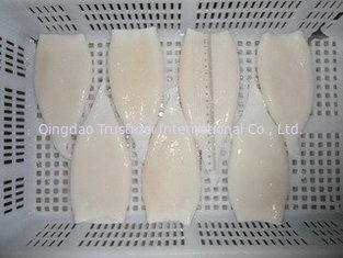 Frozen squid tubes (Illex argentinus)