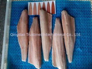 Frozen pink salmon fillets skin-on PBO 11-13