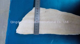 Frozen Haddock fillets skinless PBO