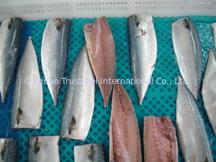 Frozen Pacific mackeral fillets skin-on