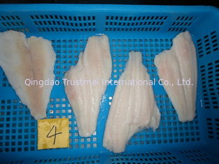 Frozen rock sole fillets skinless PBO