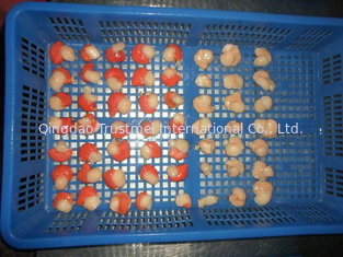 Frozen scallop roe on (Chlamys farreri)