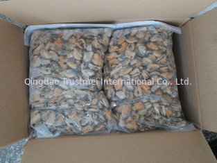 Frozen mussel meat, Mytilus edulis