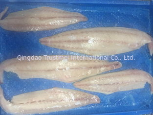 Frozen mahi mahi fillets skin-on, Coryphaena Hippurus