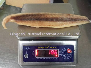 Frozen mahi mahi fillets skinless, Coryphaena Hippurus