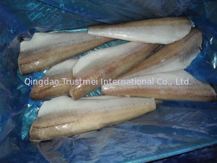 Frozen Alaska pollock  fillets skin-on IQF