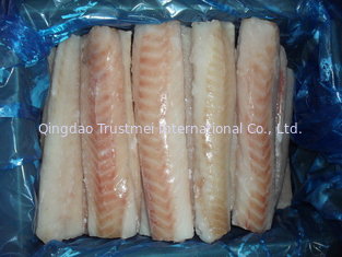 Frozen Alaska pollock  loins 120-160g Theragra Chalcogramma