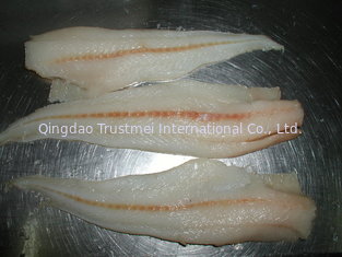 Frozen Alaska pollock fillets IQF deepskinned MSC Theragra chalcogramma