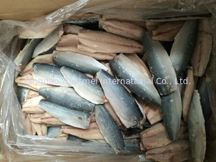 Frozen Mackerel fillets IQF  Scomber Japonicus