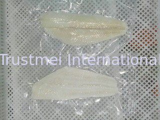 Frozen arrow tooth flounder fillets