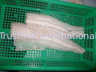 Frozen Hoki portions, fillets