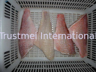 Frozen Pacific ocean perch  fillets