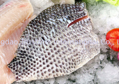 Frozen tilapia fillets skin-on