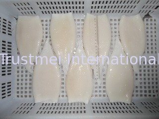 Frozen squid tubes (Illex argentinus)
