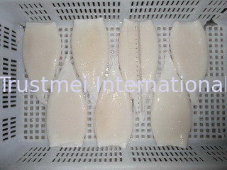 Frozen squid tubes (Todarodes pacificus)