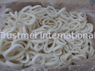 Frozen squid rings (Todarodes pacificus; )