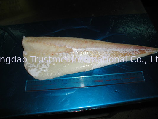 Frozen Pacific cod fillets IQF