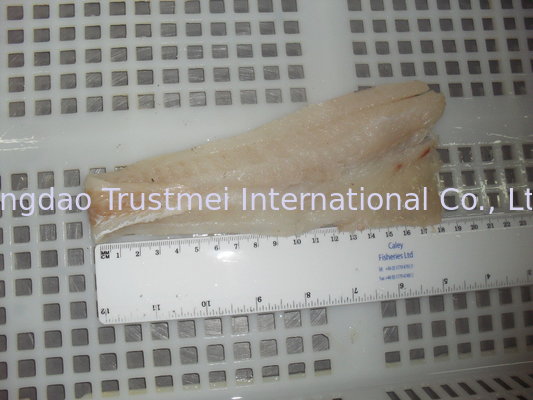 Frozen Alaska Pollock fillets tail-folded skinless PBO (Theragra chalcogramma) 10kg/ctn