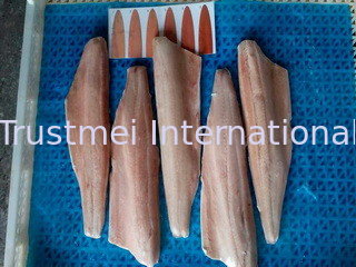 Frozen pink salmon fillets skin-on PBO 11-13