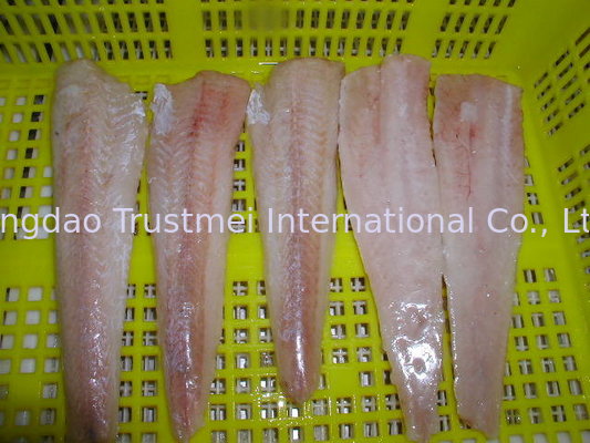 Frozen hake fillets IQF skinless PBO 10kg/ctn