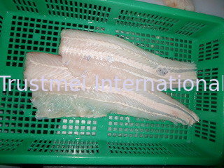 Frozen Hoki fillets IQF skinless PBO