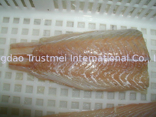 Frozen saithe  tails skinless PBO IQF