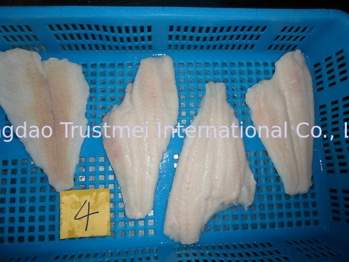 Frozen rock sole fillets skinless PBO