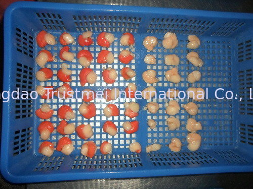 Frozen scallop roe on (Chlamys farreri)