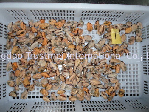 mussel meat, Mytilus edulis