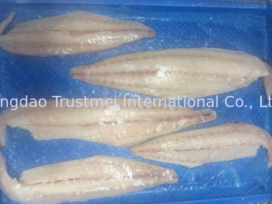 Frozen mahi mahi fillets skin-on, Coryphaena Hippurus