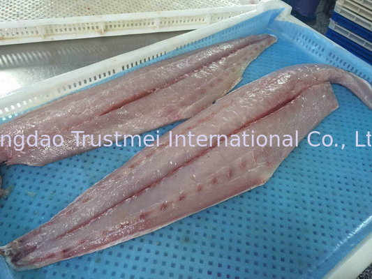 Frozen mahi mahi fillets skin-on, Coryphaena Hippurus