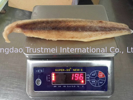 Frozen mahi mahi fillets skinless, Coryphaena Hippurus