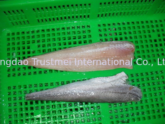 Frozen Pacific hake fillets skin-on PBO IQF