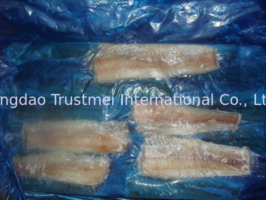 Frozen Alaska pollock fillets interleaved tail folded