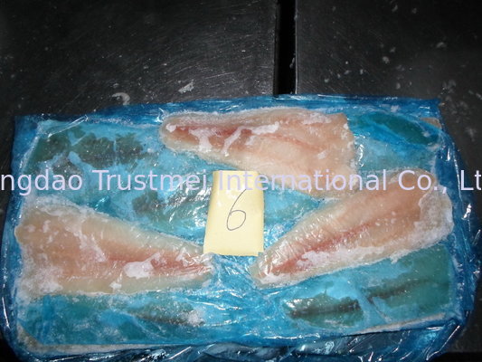 Frozen Pacific hake fillets interleaved/shatterpacked  skinless 100-250g PBO 3x5kg/ctn
