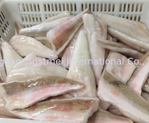 Frozen red gurnard fillets skin-on IQF