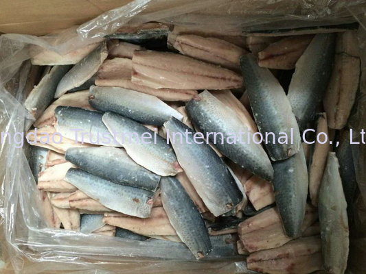 Frozen Mackerel fillets IQF  Scomber Japonicus