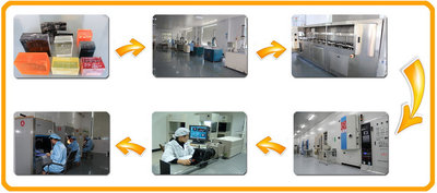 Shijiazhuang Tangsinuo Optoelectronic Technology Co.,Ltd.