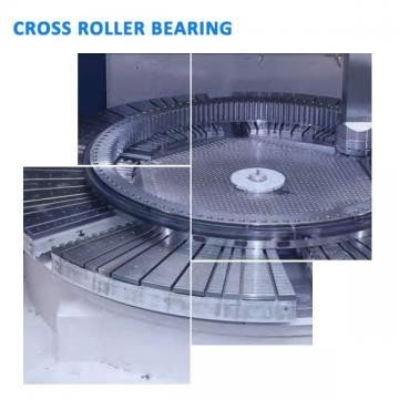 RE3010 Crossed roller bearings (Inner ring separable) cross roller bearing