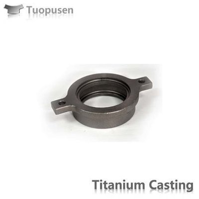 Titanium casing