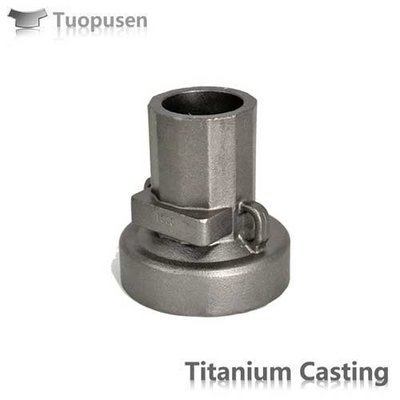 Titanium  Investment  Casting Gr5   Titanium  check valve polish  corrosion resistance