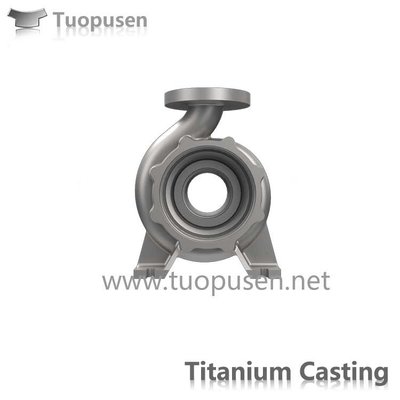 Precision casting Titanium Casting Part Impeller Gr2 high corrosive resistance