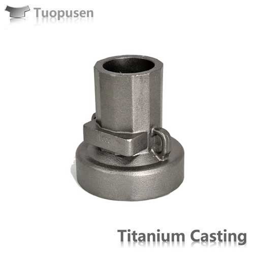 Titanium  Investment  Casting Gr5   Titanium  check valve polish  corrosion resistance