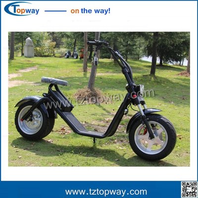 citycoco/seev/woqu 1000w with battery can be removed 18*9.5inch big tyre