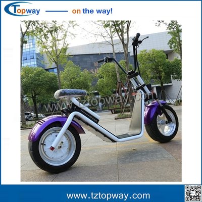citycoco/seev/woqu 1000w with battery can be removed 18*9.5inch big tyre