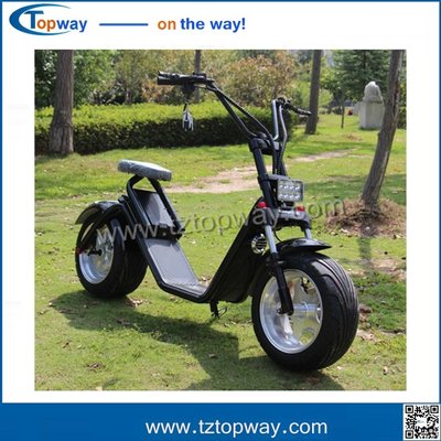 citycoco/seev/woqu 1000w with battery can be removed 18*9.5inch big tyre