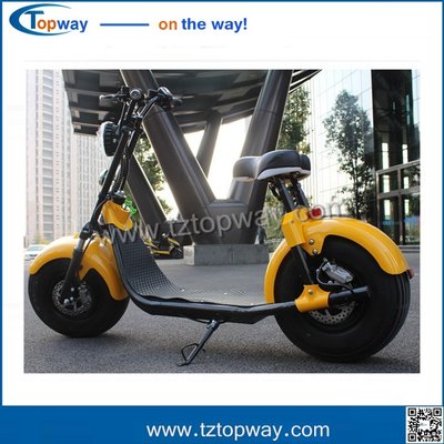New customized 1000W citycoco 18*9.5 big two wheels electric scooter harley