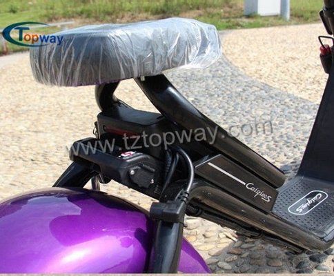2018 New Style Two Wheel Off Road Electric Mobility Halley Scooter